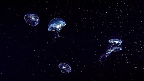 Deep Blue (movie, 2003)