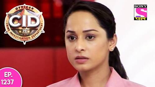 Ansha Sayed - actress - biography, photo, best movies and TV shows