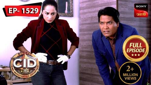 Ansha Sayed - actress - biography, photo, best movies and TV shows