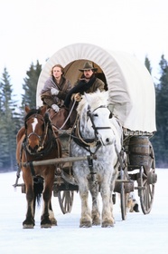 Cameron Bancroft - actor - biography, photo, best movies and TV shows