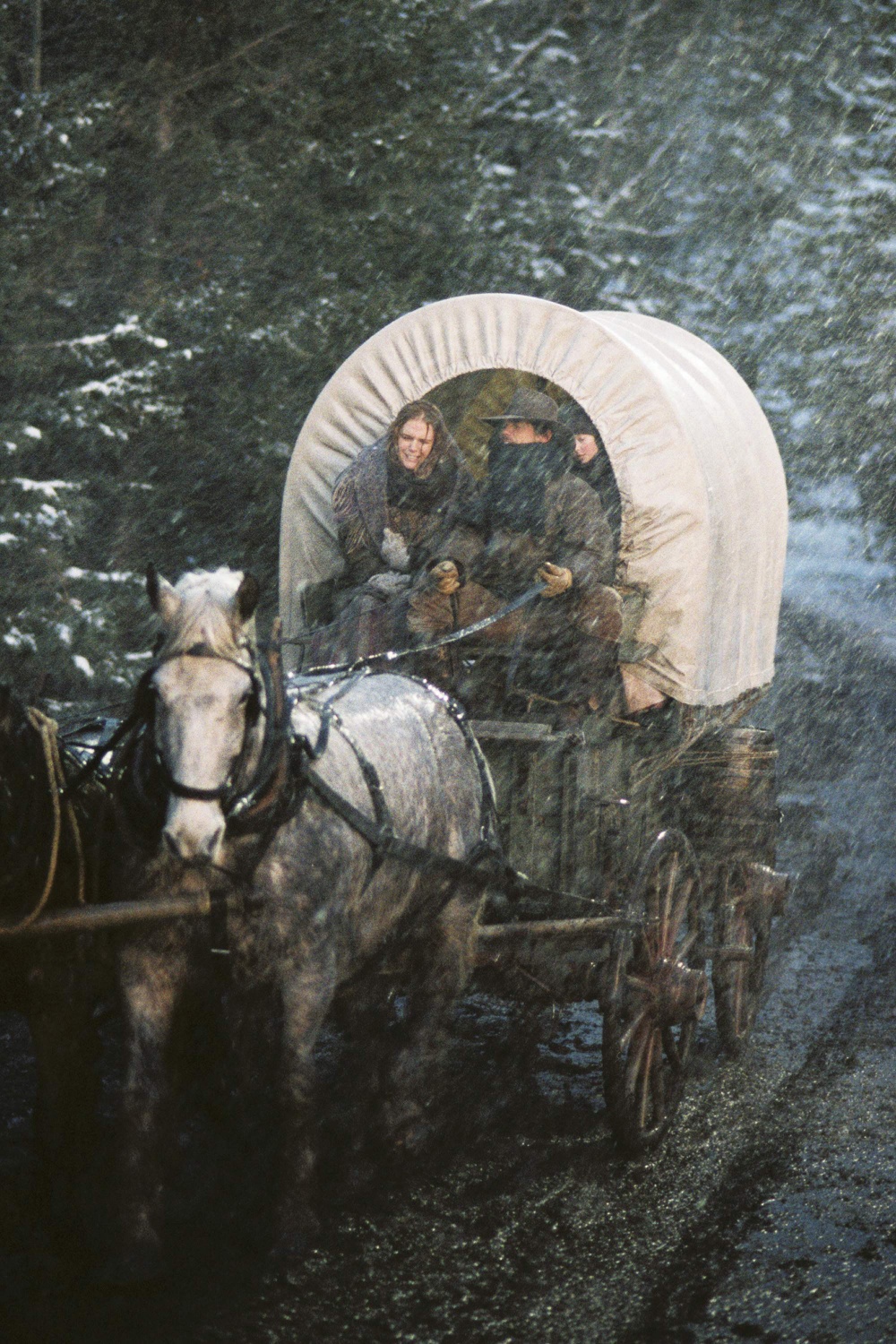 Cameron Bancroft - actor - biography, photo, best movies and TV shows