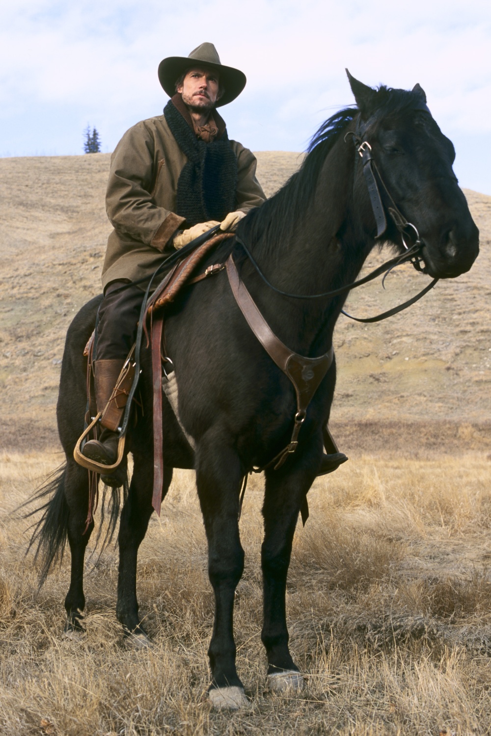 Cameron Bancroft - actor - biography, photo, best movies and TV shows