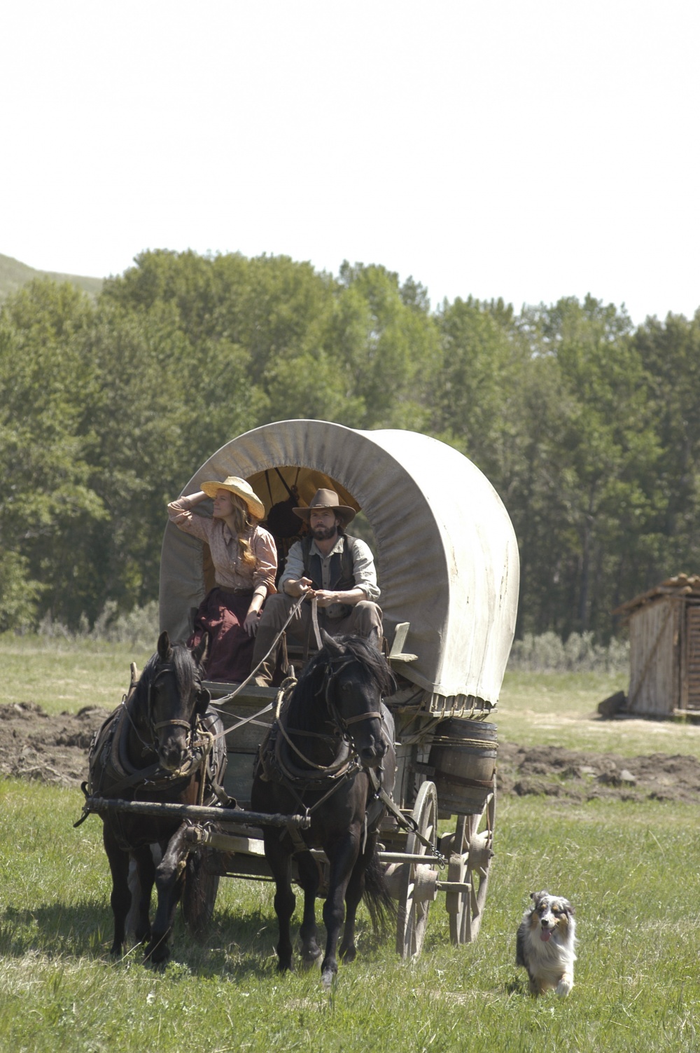 Cameron Bancroft - actor - biography, photo, best movies and TV shows