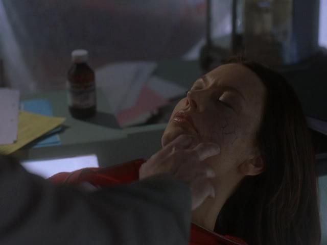 Musetta Vander - actress - biography, photo, best movies and TV shows