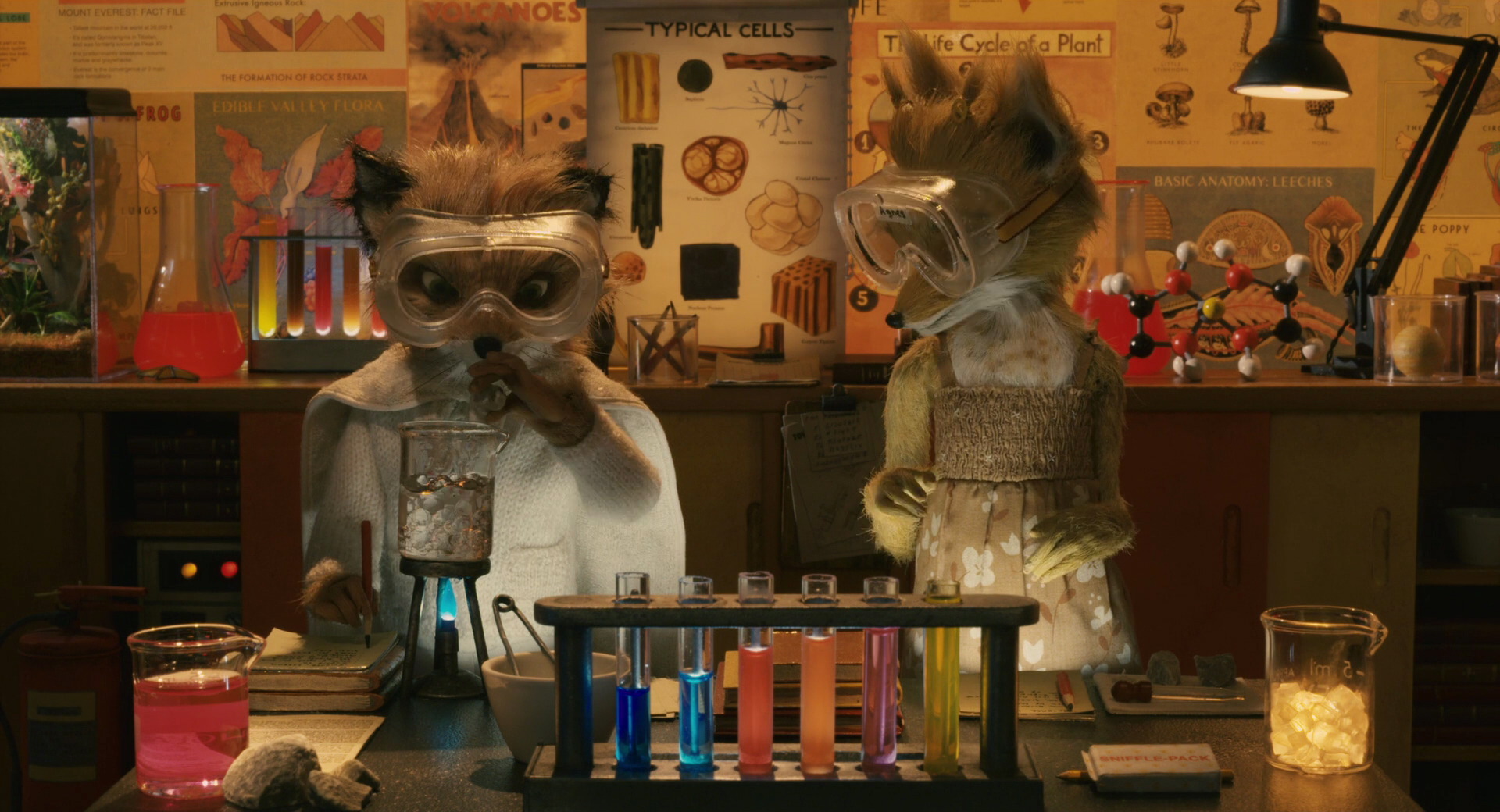 Stills - Fantastic Mr. Fox