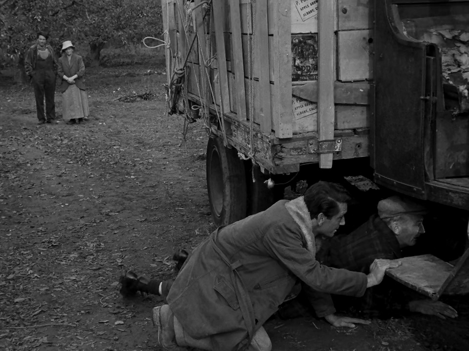 Millard Mitchell - actor - biography, photo, best movies and TV shows