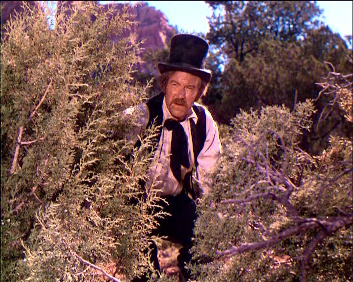 Will Geer - actor - biography, photo, best movies and TV shows