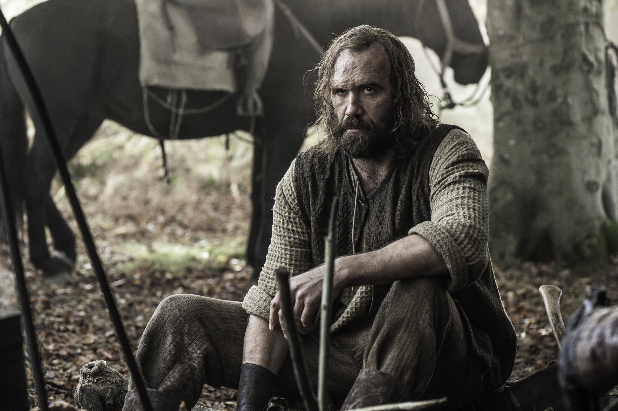 Rory McCann - actor - biography, photo, best movies and TV shows