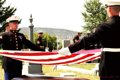 Taking Chance (movie, 2009)