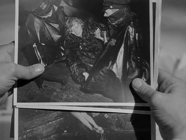 Ann McCrea - actress - biography, photo, best movies and TV shows