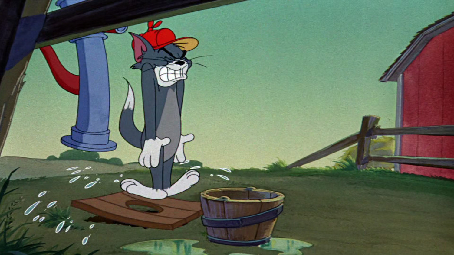 Screenshots - The Duck Doctor