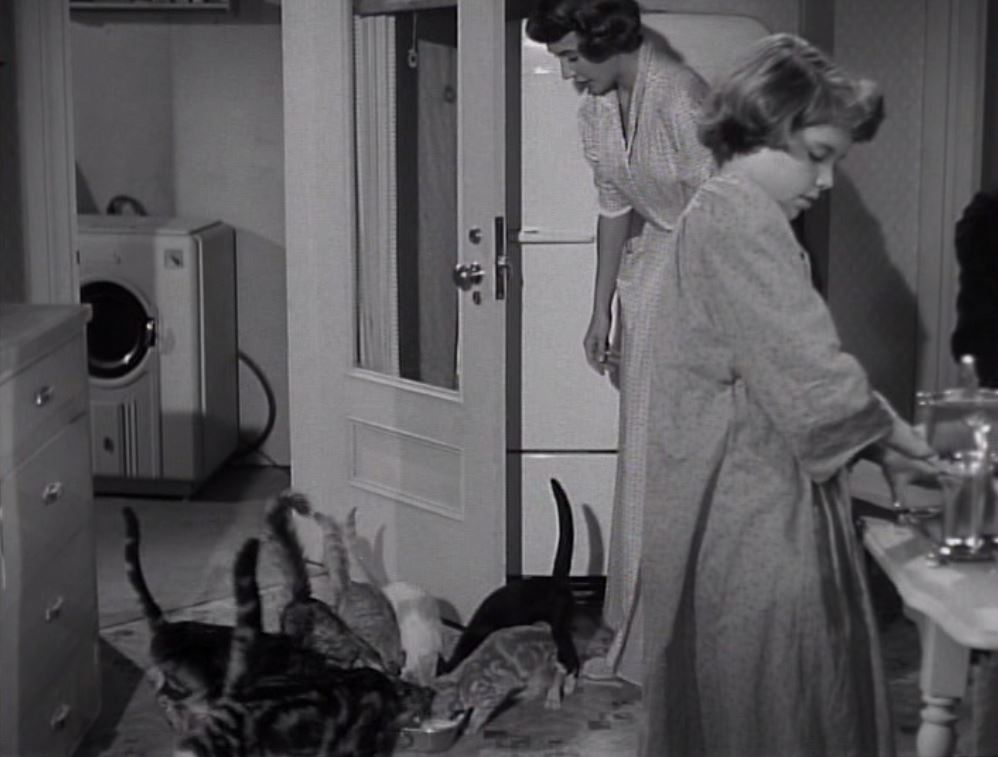 Gay Gordon - actress - biography, photo, best movies and TV shows