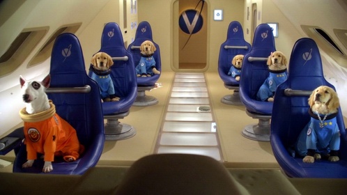 Screenshots - Space Buddies