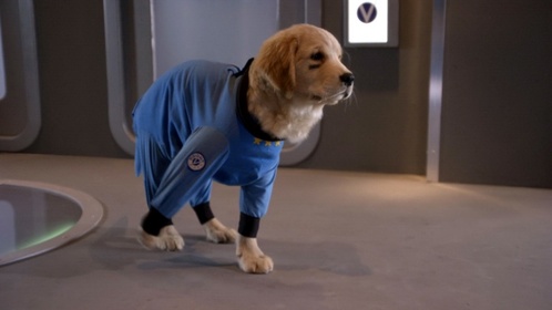 Screenshots - Space Buddies