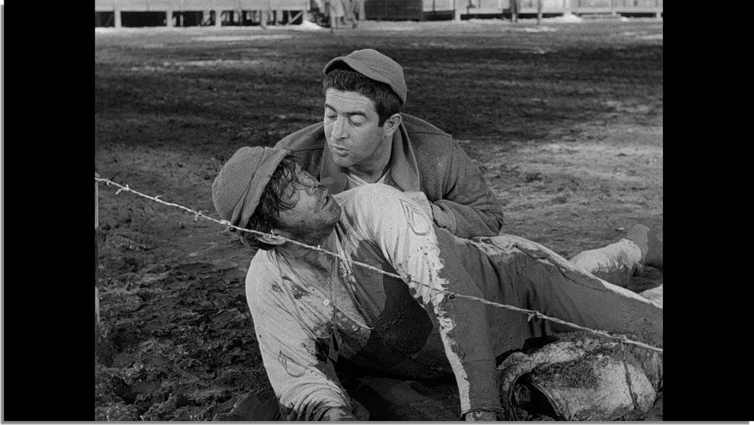 Robert Strauss - actor - biography, photo, best movies and TV shows