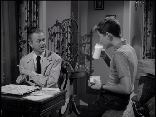 Billy Gray - actor - biography, photo, best movies and TV shows