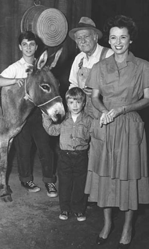 Jon Provost - actor - biography, photo, best movies and TV shows