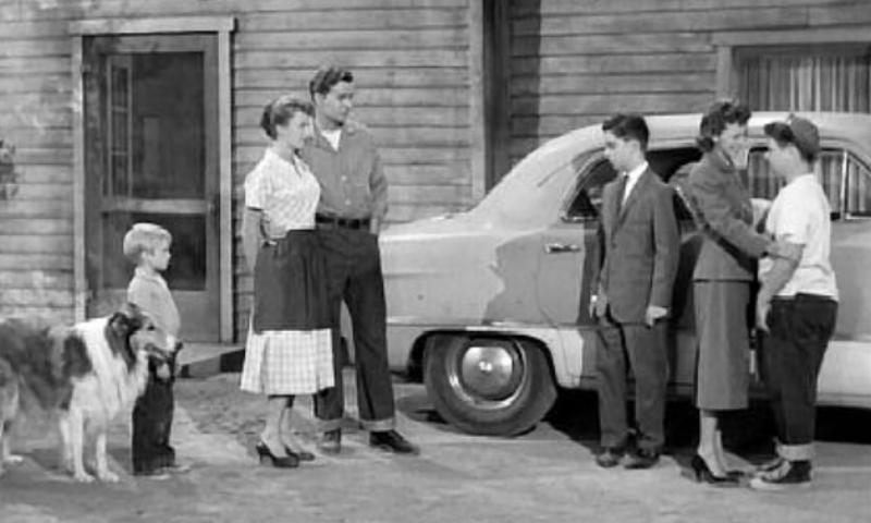 Jon Provost - actor - biography, photo, best movies and TV shows