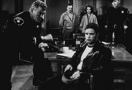 Mary Murphy - actress - biography, photo, best movies and TV shows