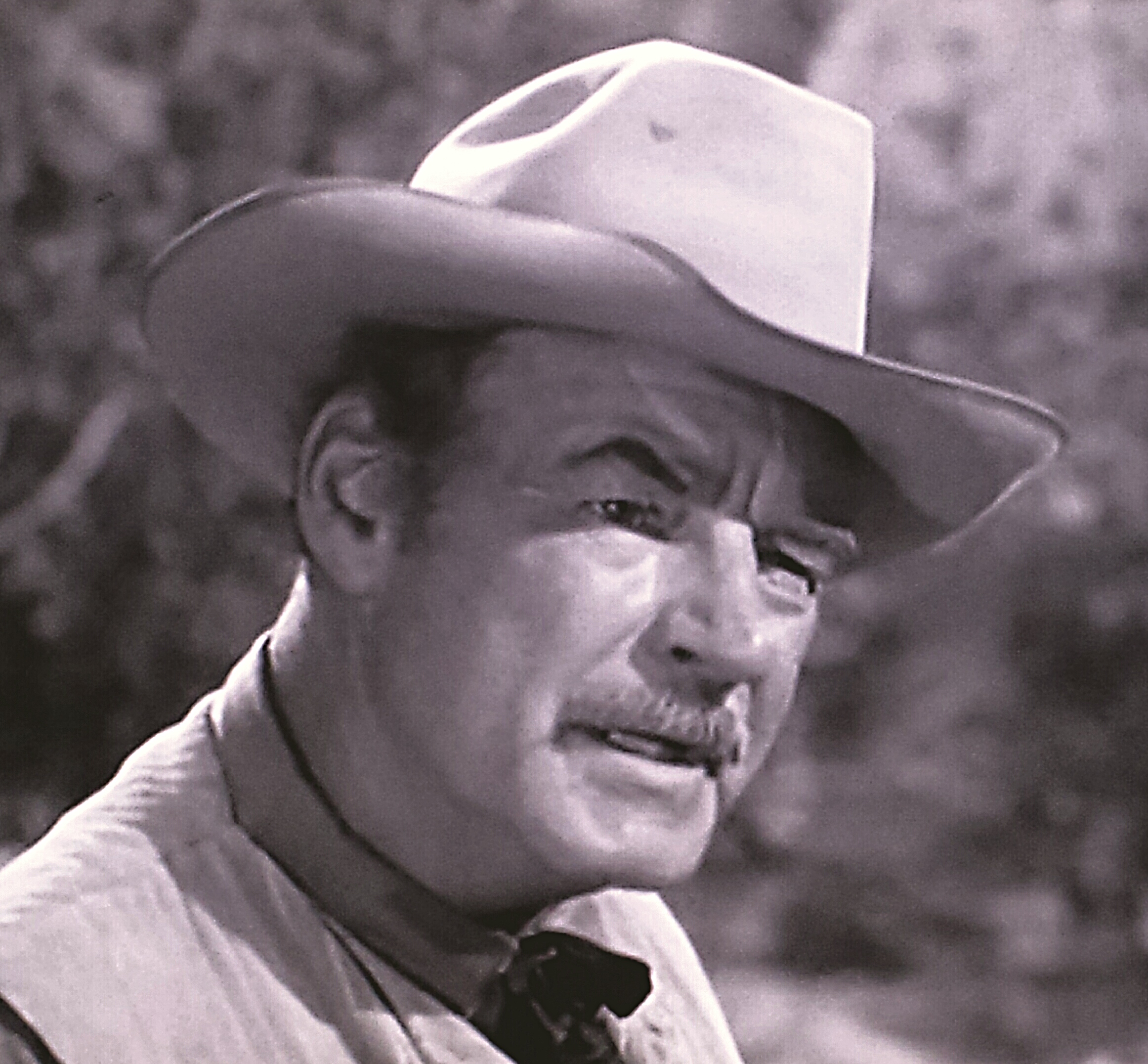 Ray Teal - actor - biography, photo, best movies and TV shows