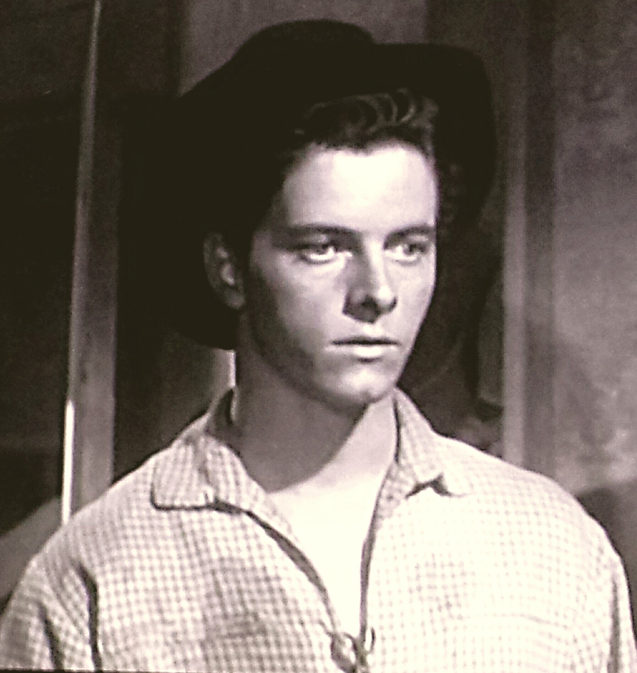 Peter Brown - actor, producer - biography, photo, best movies and TV shows