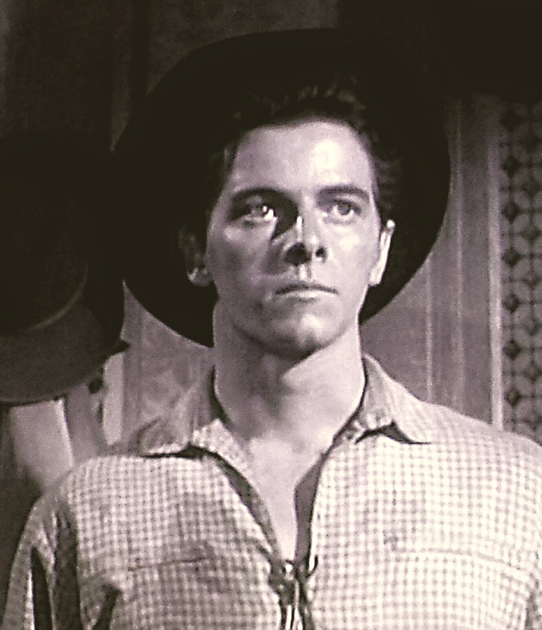 Peter Brown - actor, producer - biography, photo, best movies and TV shows