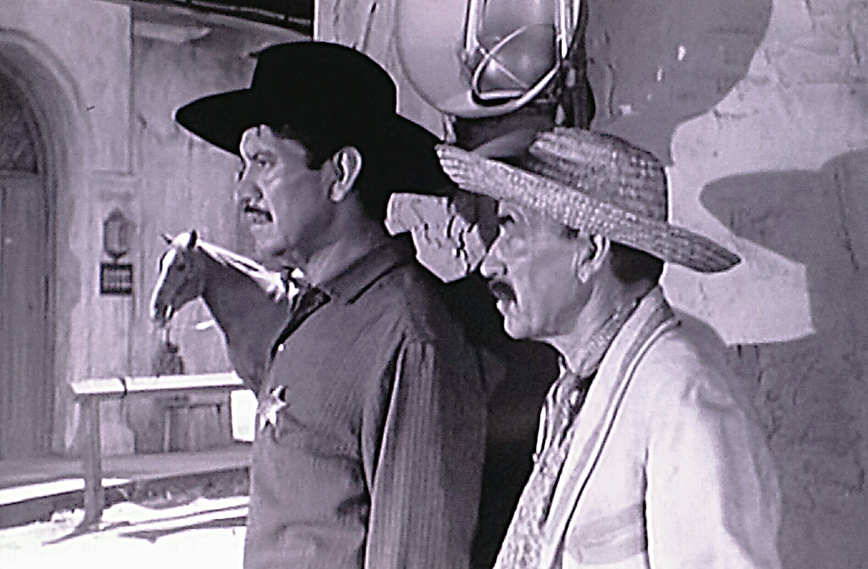 Ray Teal - actor - biography, photo, best movies and TV shows