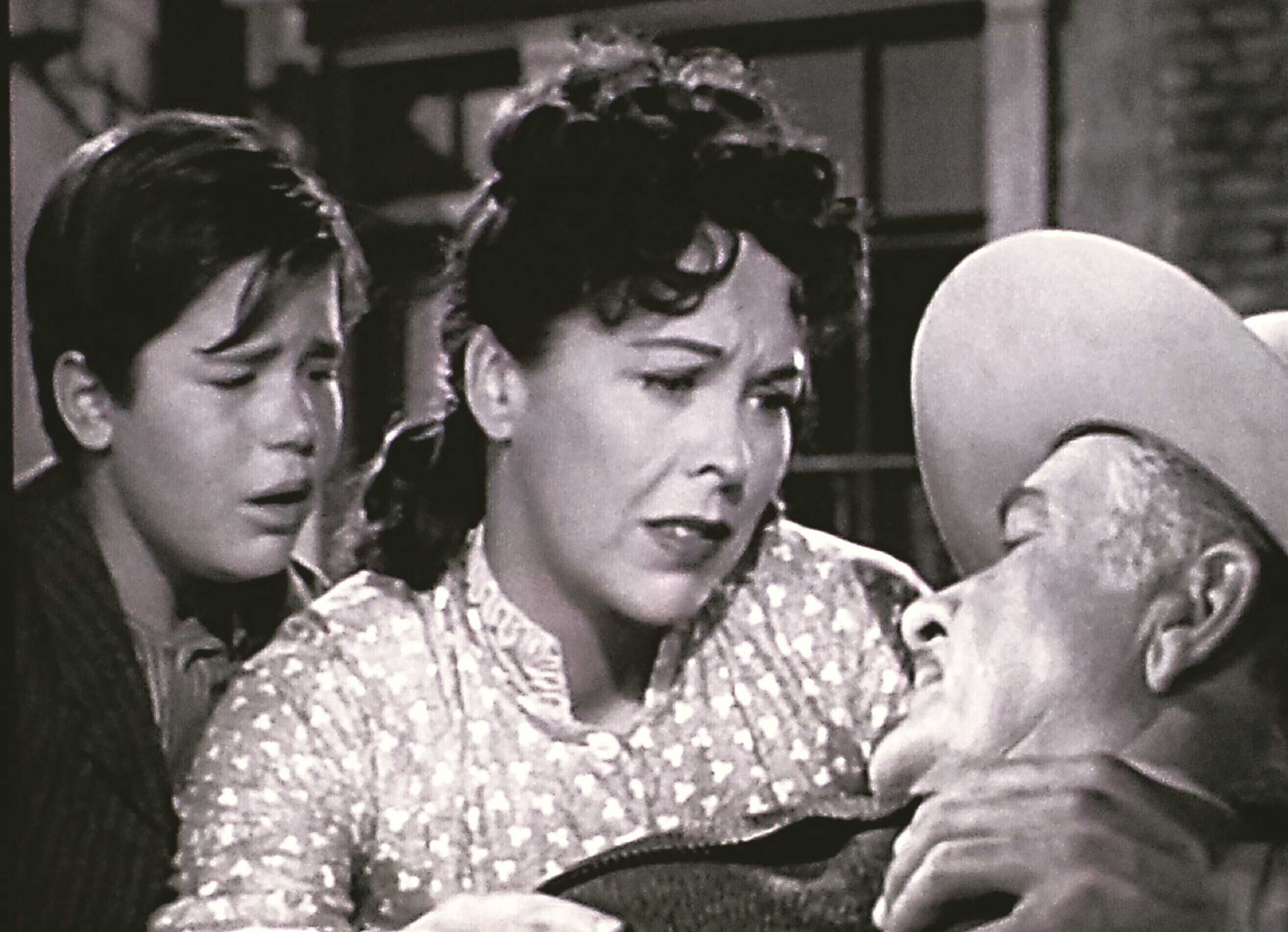 Paul Engle - actor - biography, photo, best movies and TV shows