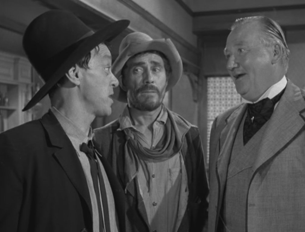 Harry Townes - actor - biography, photo, best movies and TV shows