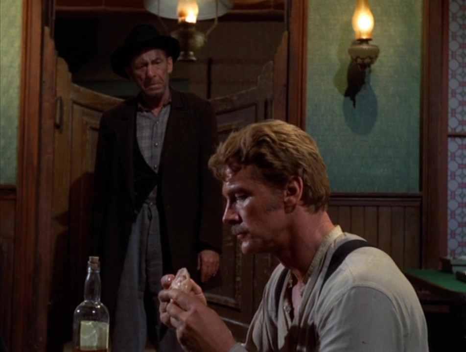 Steve Forrest - actor - biography, photo, best movies and TV shows