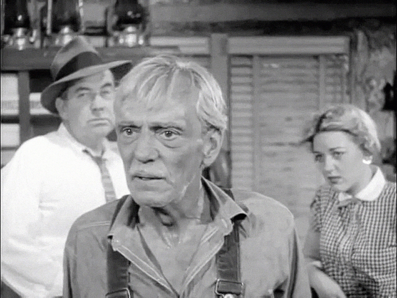 Kay Faylen - actress - biography, photo, best movies and TV shows