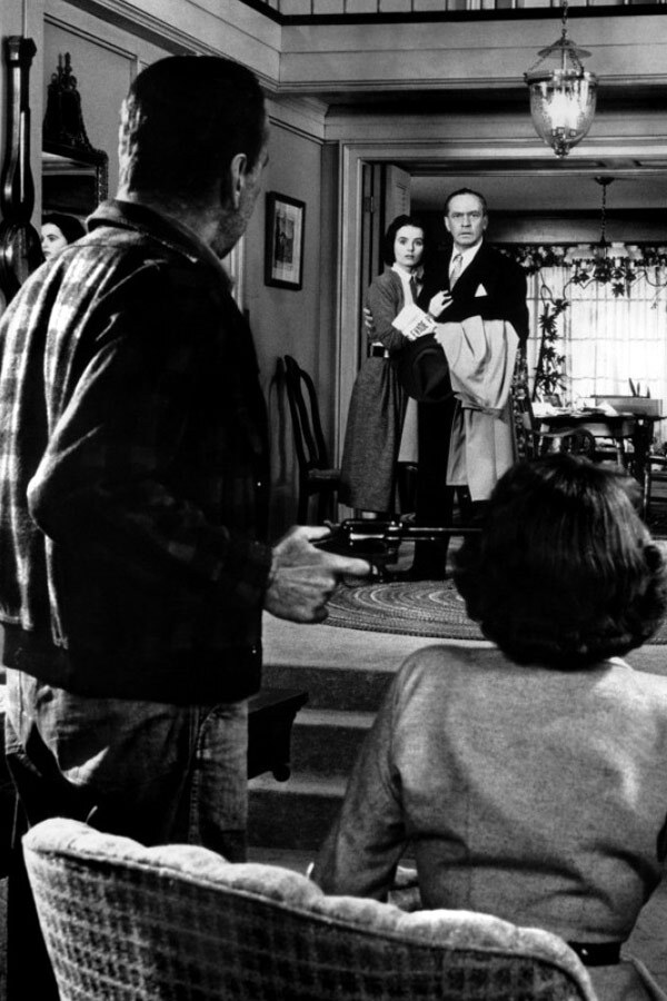 Mary Murphy - actress - biography, photo, best movies and TV shows