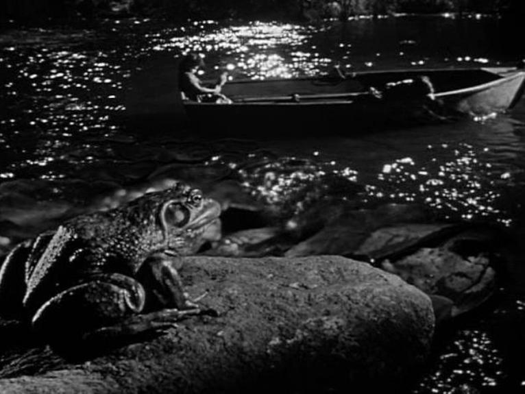 Billy Chapin - actor - biography, photo, best movies and TV shows