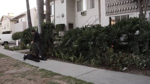 Screenshots - The Horribly Slow Murderer with the Extremely Inefficient ...