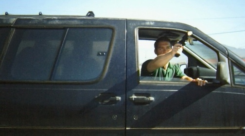 Birdemic: Shock and Terror (movie, 2010)