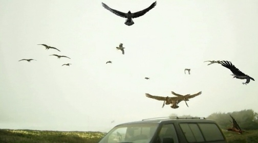 Birdemic: Shock and Terror (movie, 2010)