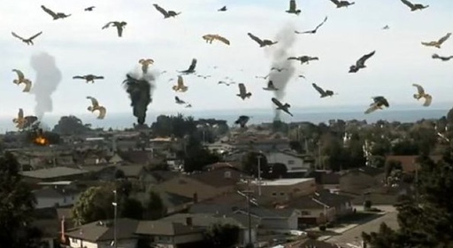 Birdemic: Shock and Terror (movie, 2010)