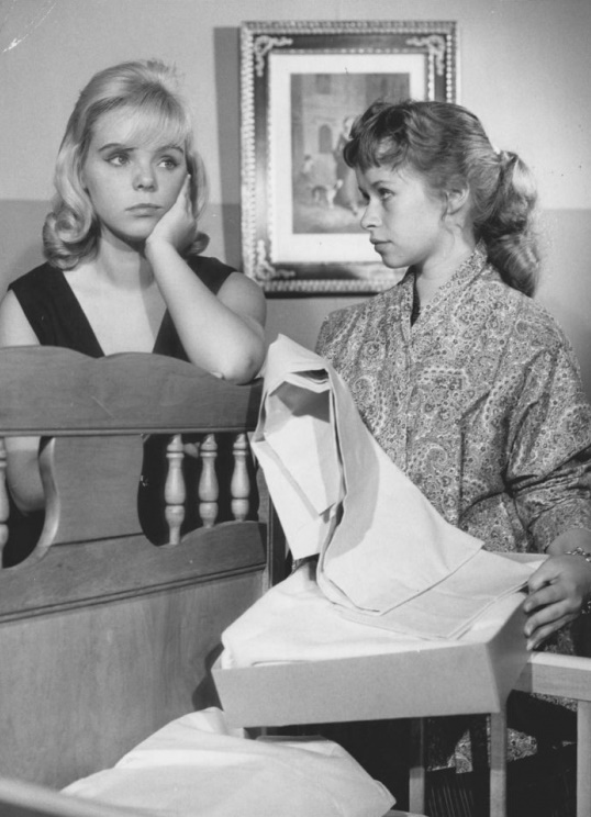 Jenny Maxwell - actress - biography, photo, best movies and TV shows