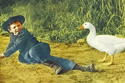 Richard Eyer - actor - biography, photo, best movies and TV shows