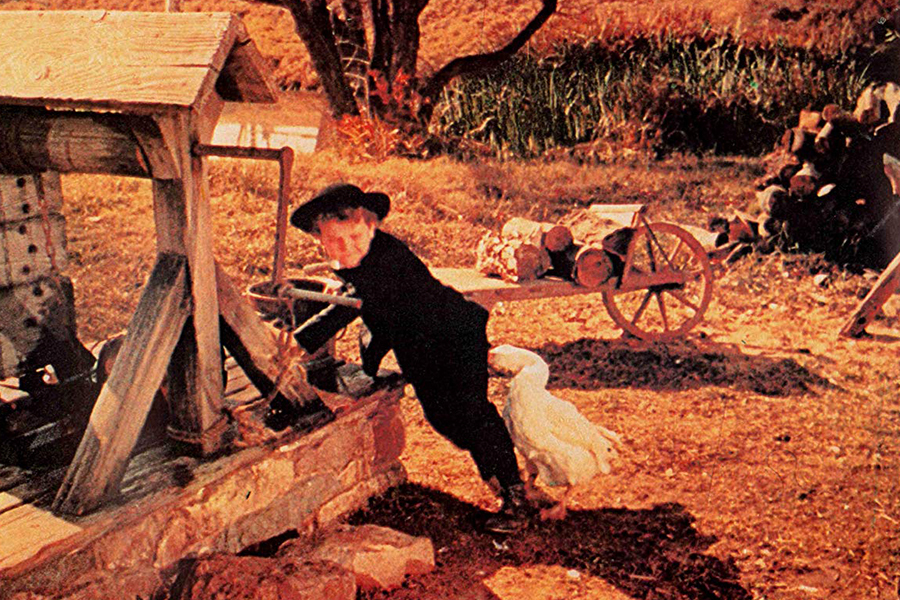 Richard Eyer - actor - biography, photo, best movies and TV shows