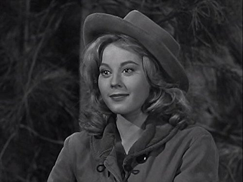 Sherry Jackson - actress - biography, photo, best movies and TV shows