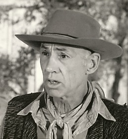 Hank Worden - actor, producer - biography, photo, best movies and TV shows