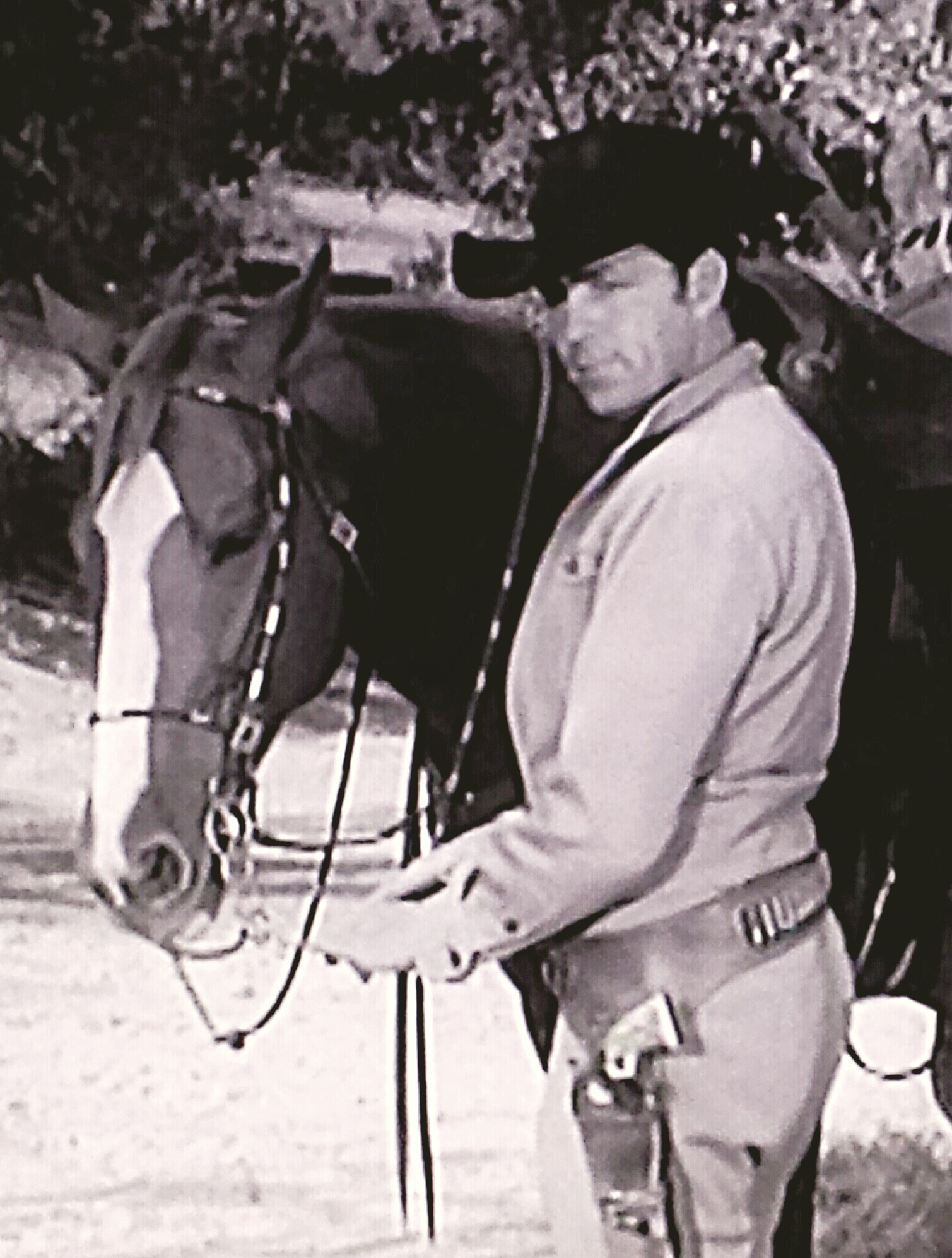 Dale Robertson - actor - biography, photo, best movies and TV shows