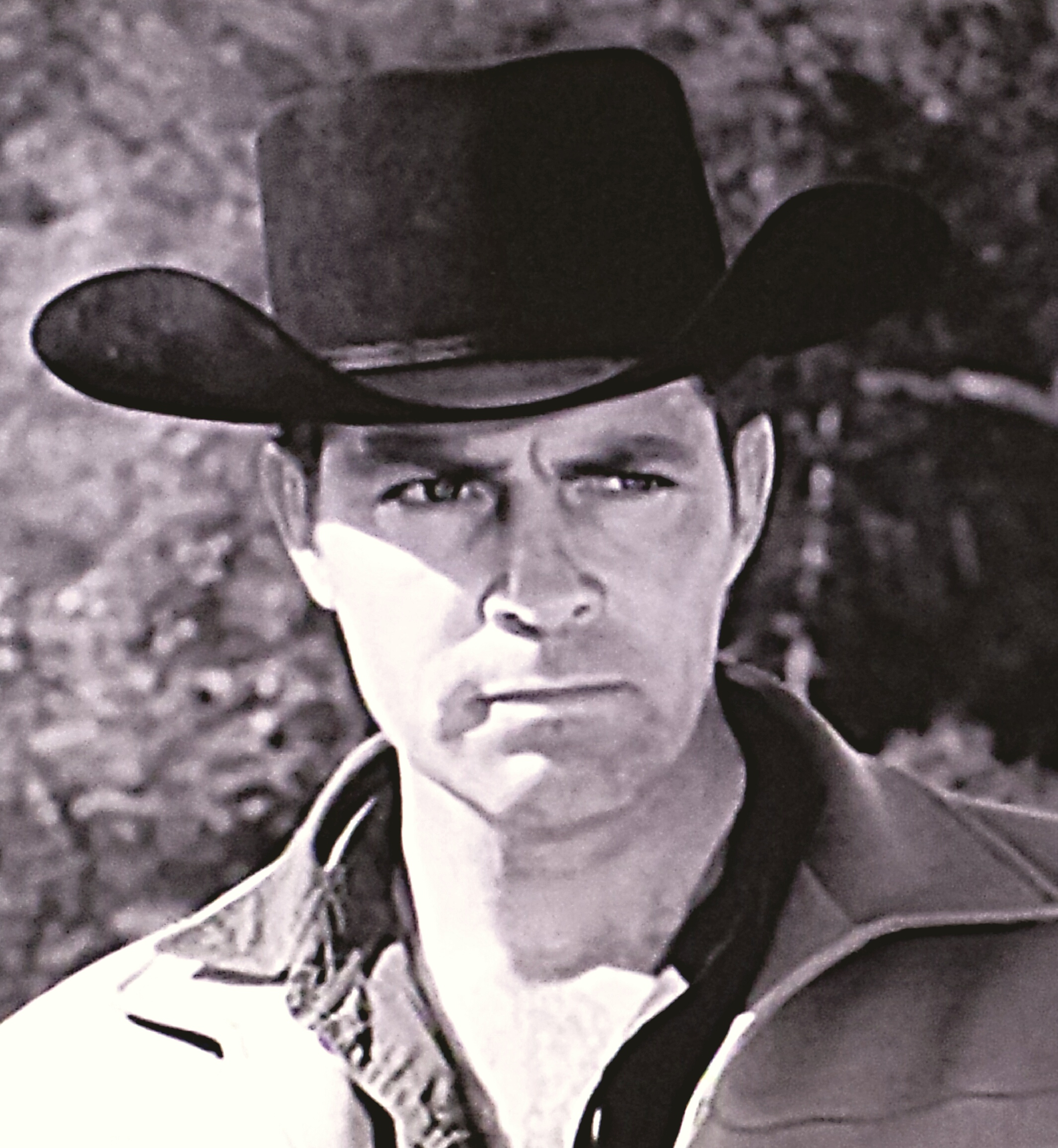 Dale Robertson - actor - biography, photo, best movies and TV shows