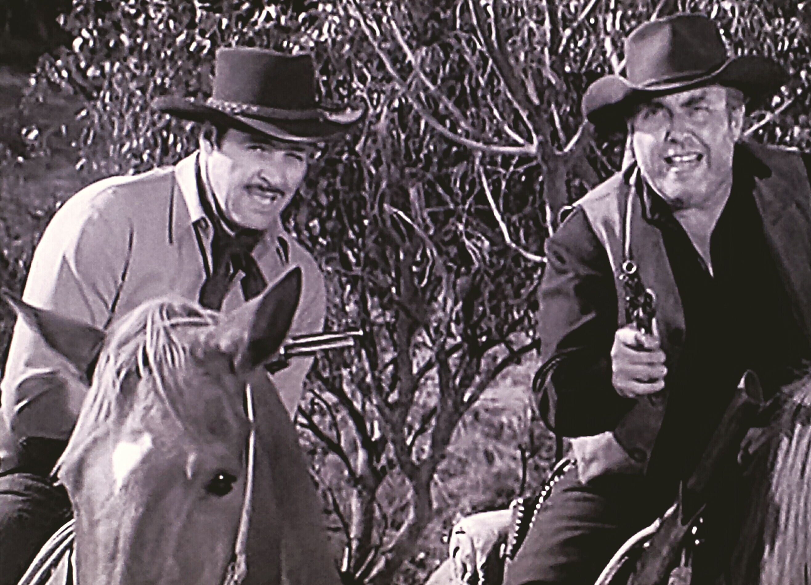 Chris Alcaide - actor - biography, photo, best movies and TV shows