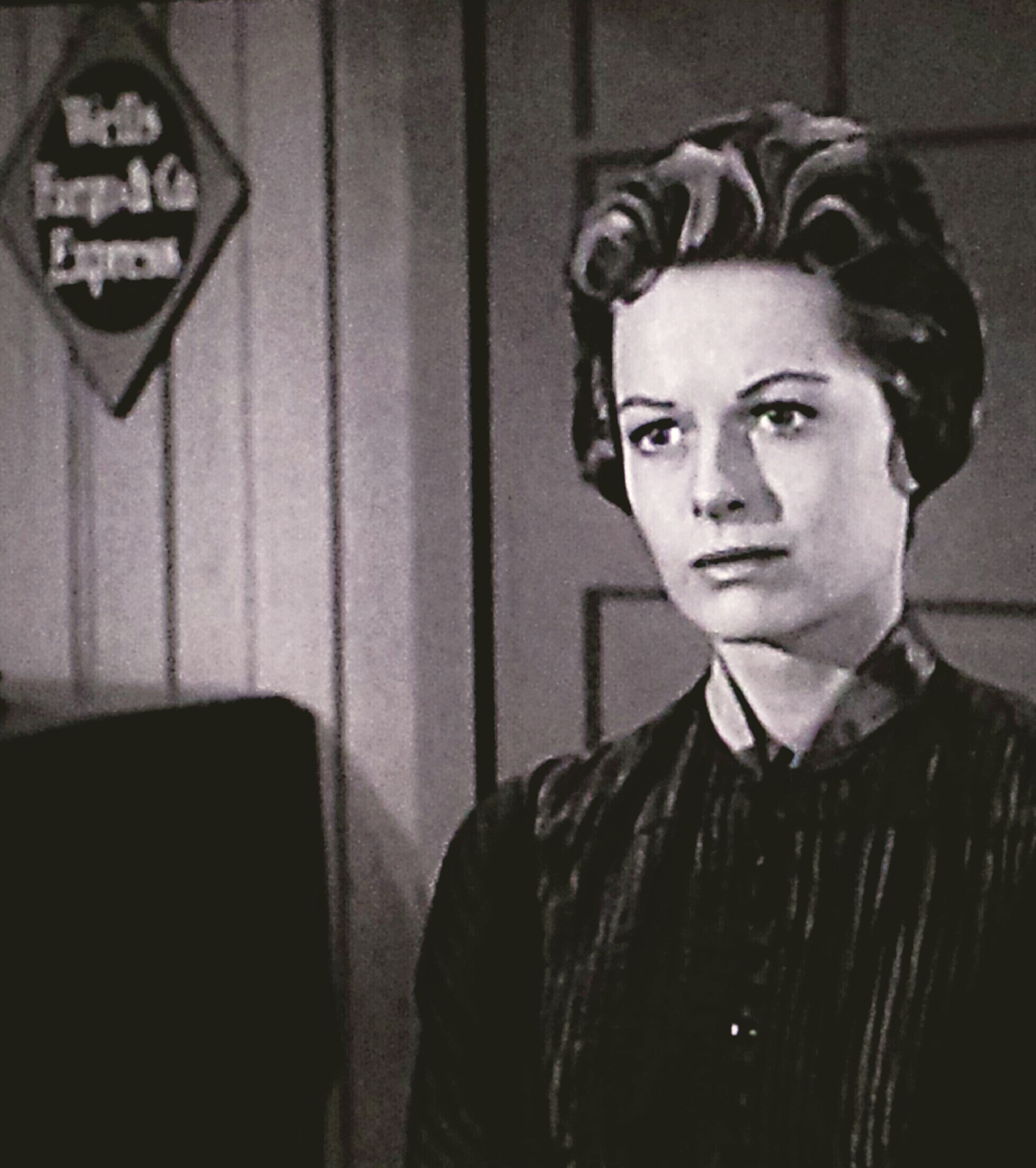 Joyce Taylor - actress - biography, photo, best movies and TV shows