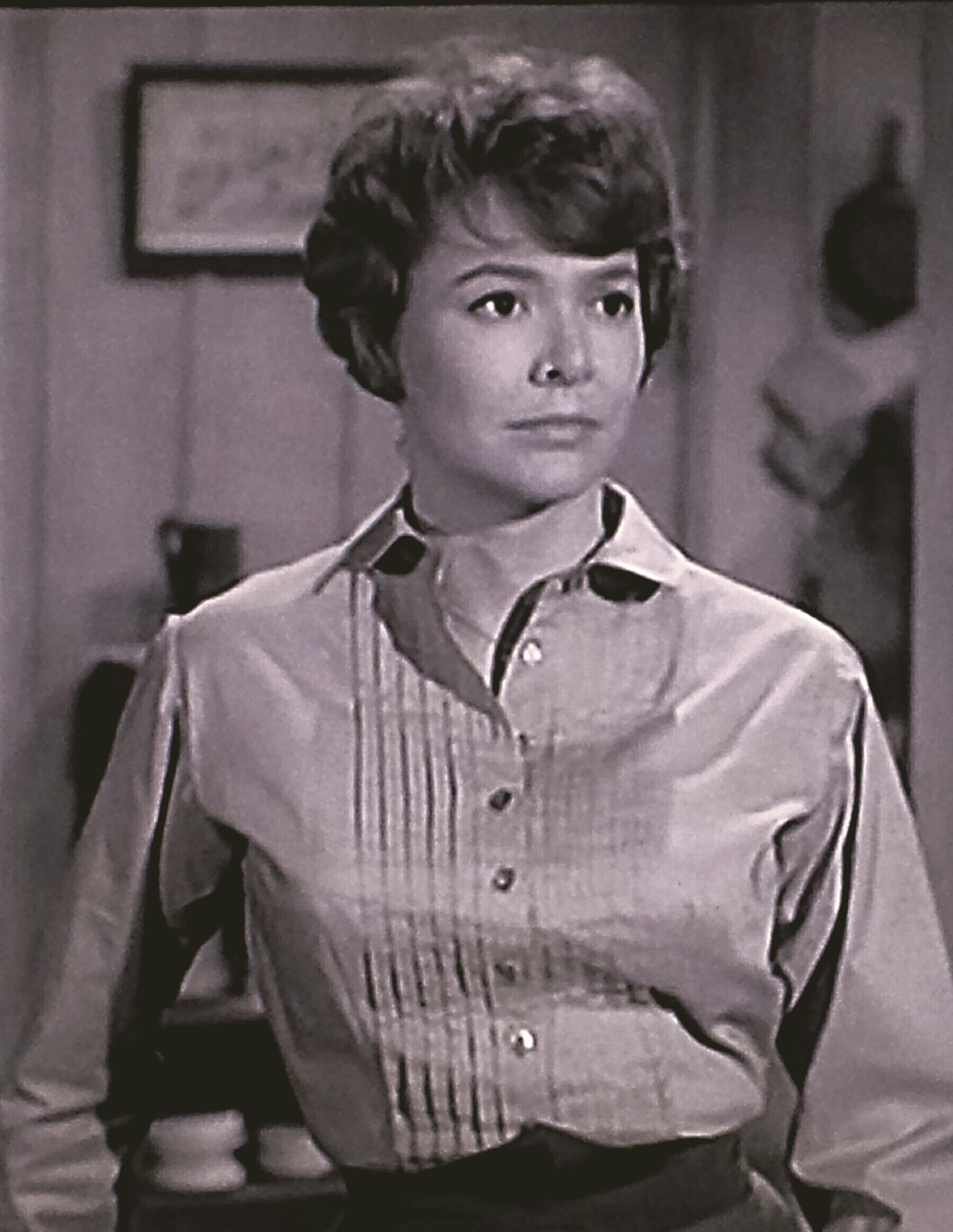 Nancy Hale - actress - biography, photo, best movies and TV shows