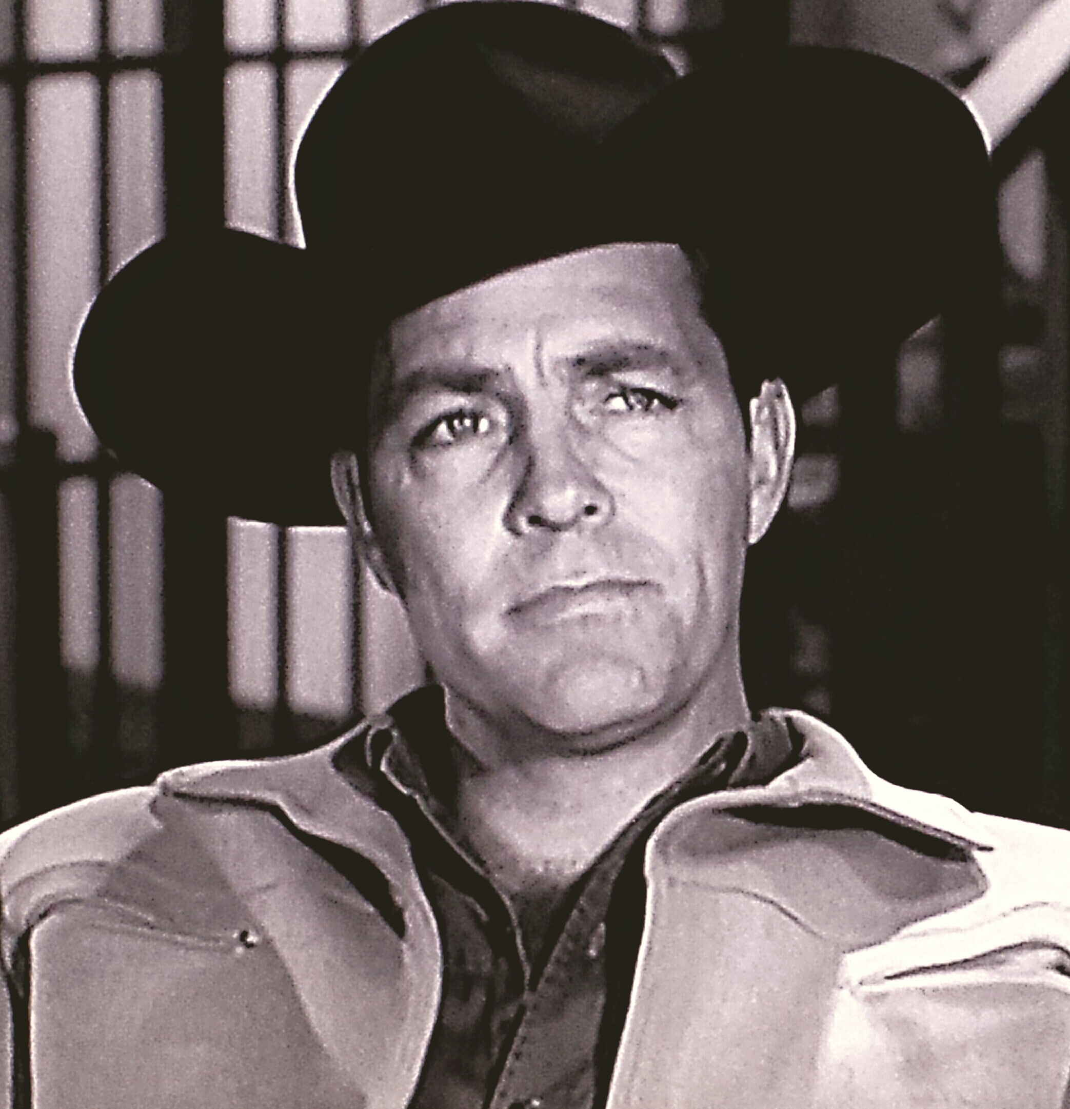 Dale Robertson - actor - biography, photo, best movies and TV shows