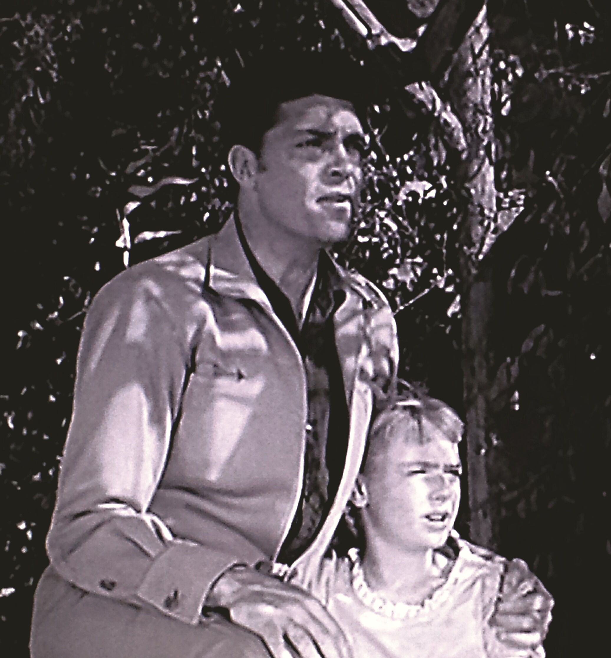 Dale Robertson - actor - biography, photo, best movies and TV shows