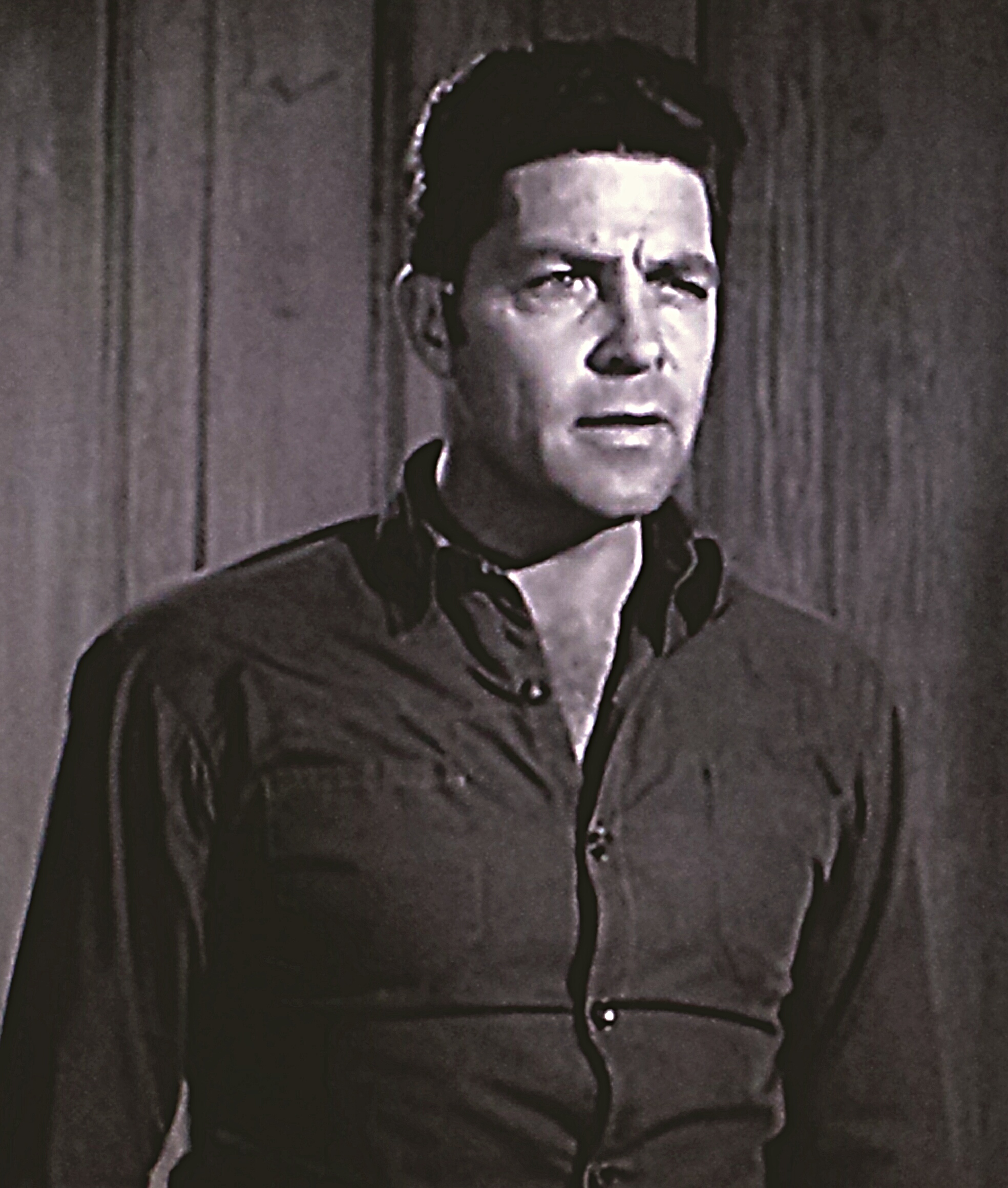 Dale Robertson - actor - biography, photo, best movies and TV shows